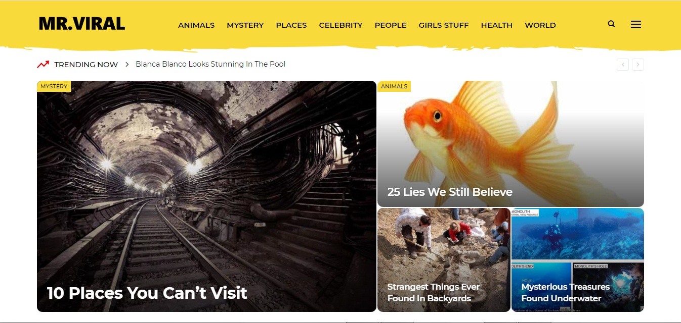 Established Viral Website | Potential Profit: 5000$/month - Sitefy