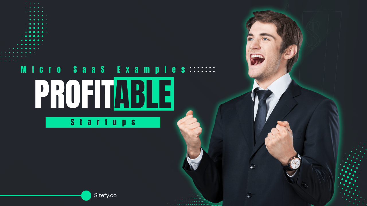 Micro SaaS Examples: 10 Profitable Startups - Sitefy